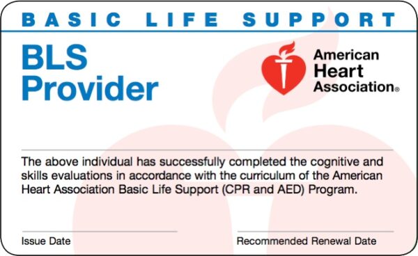 Basic Life Support (BLS) for Healthcare Providers / Renewal - Call Of ...